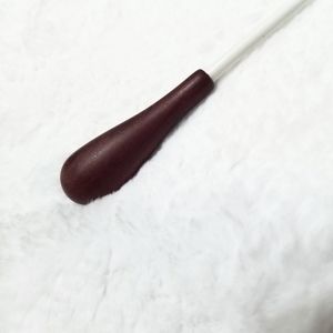 Other | Conducting Orchestra Music Baton | Poshmark